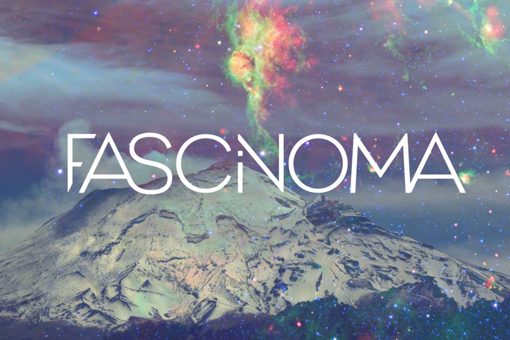 Fascinoma: una nueva plataforma para la electrónica en México - Digger.mx