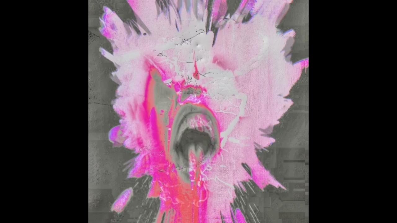 Avey Tare y Panda Bear de Animal Collective Lanzan Nueva Canción ...